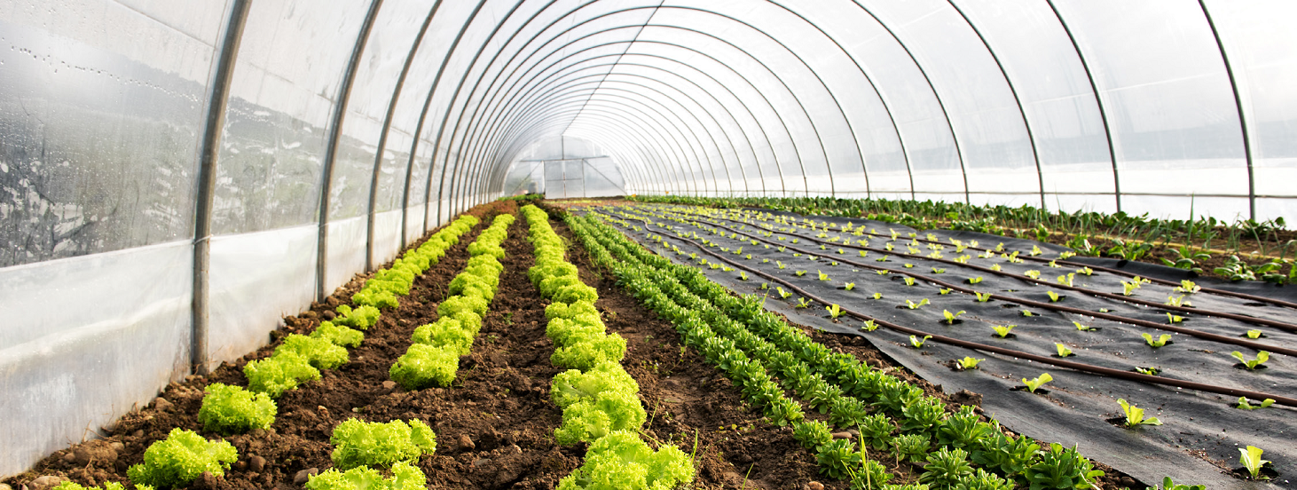 Food Security - Your Magazine, Your Story